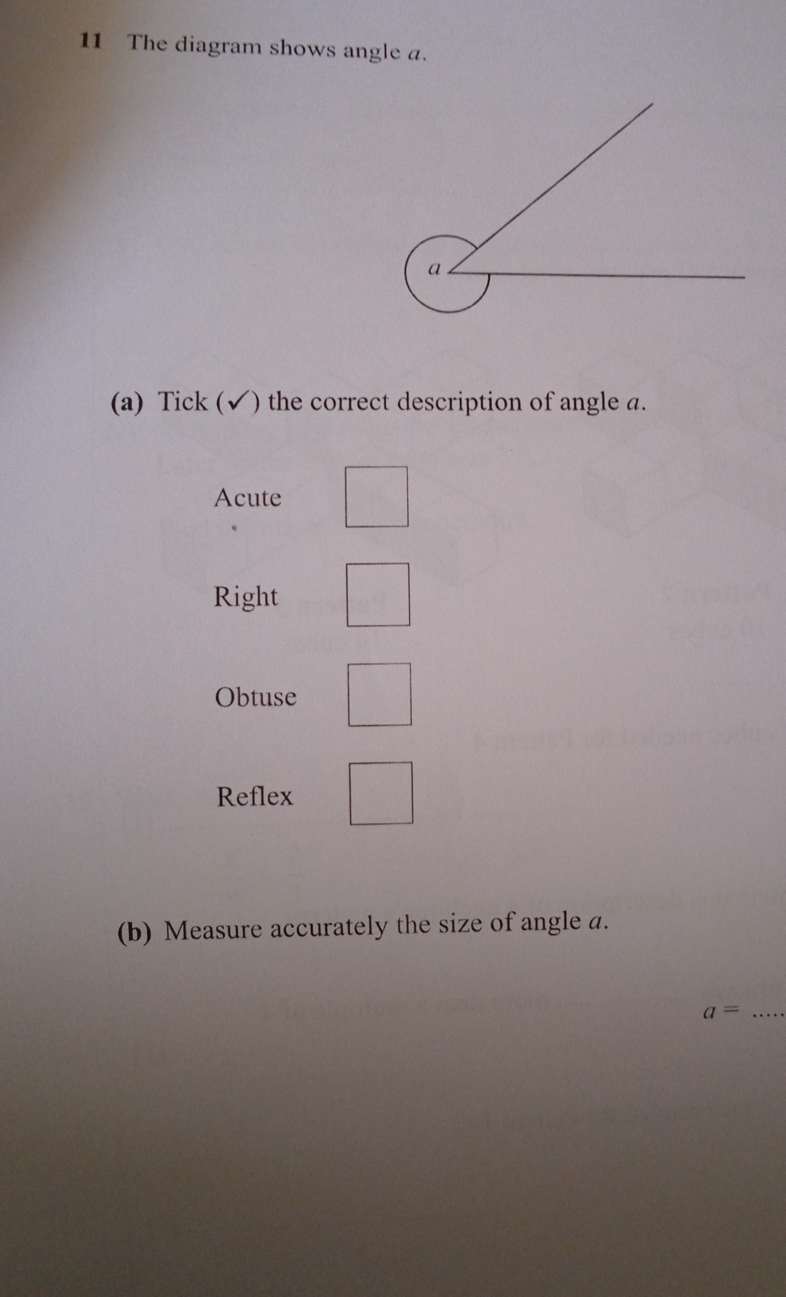 11 The diagram shows angle a. (a) Tick () the correct description of ...