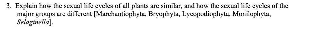 Solved Explain How The Sexual Life Cycles Of All Plants Are Similar And How The Sexual Life