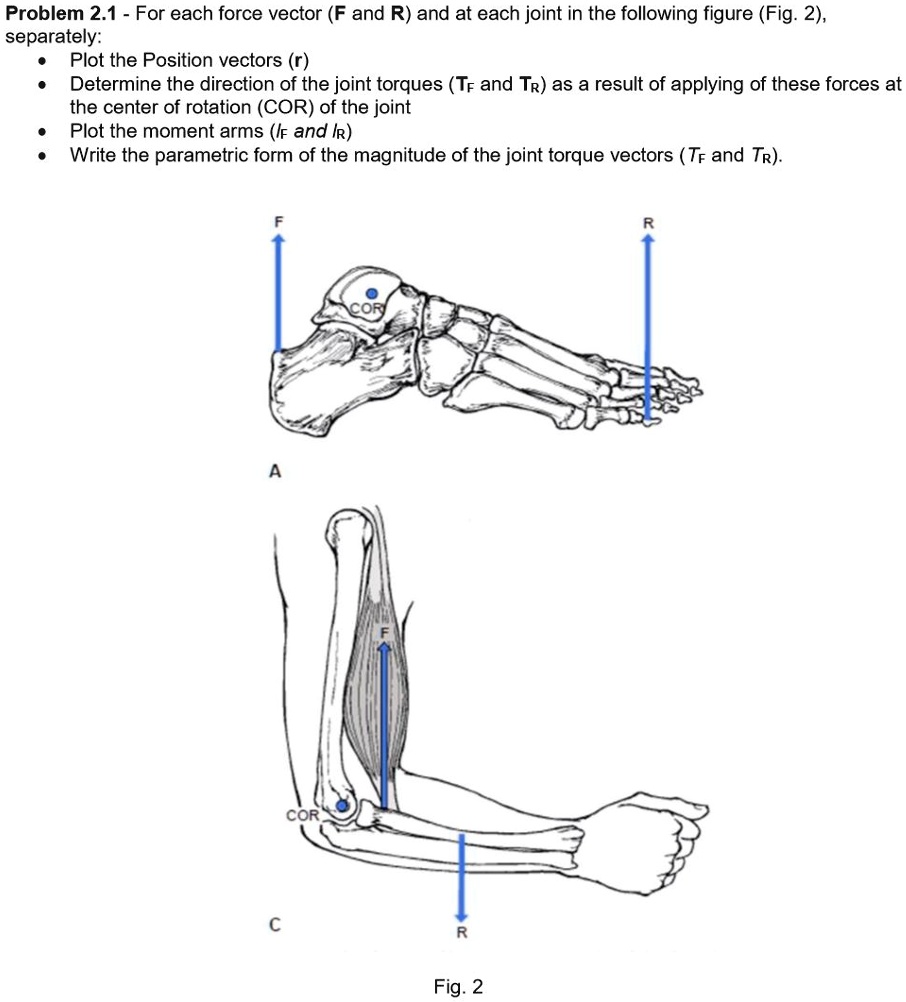 Problem 2.1 - For each force vector (F and R) and at each joint in the ...