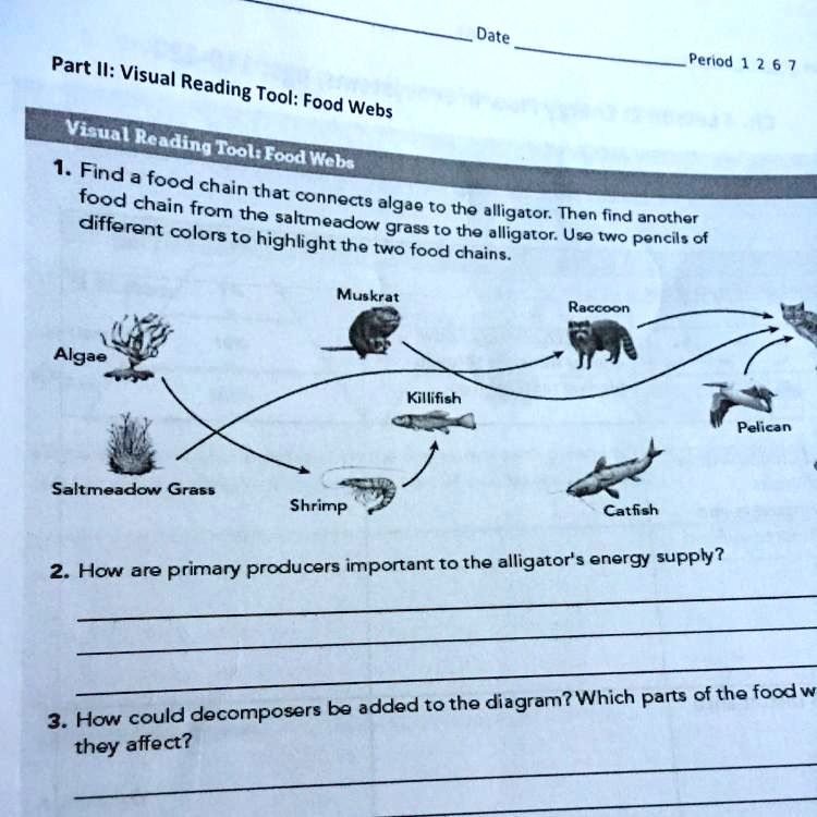 SOLVED: ' How are food chains and food webs related Date Part Il ...