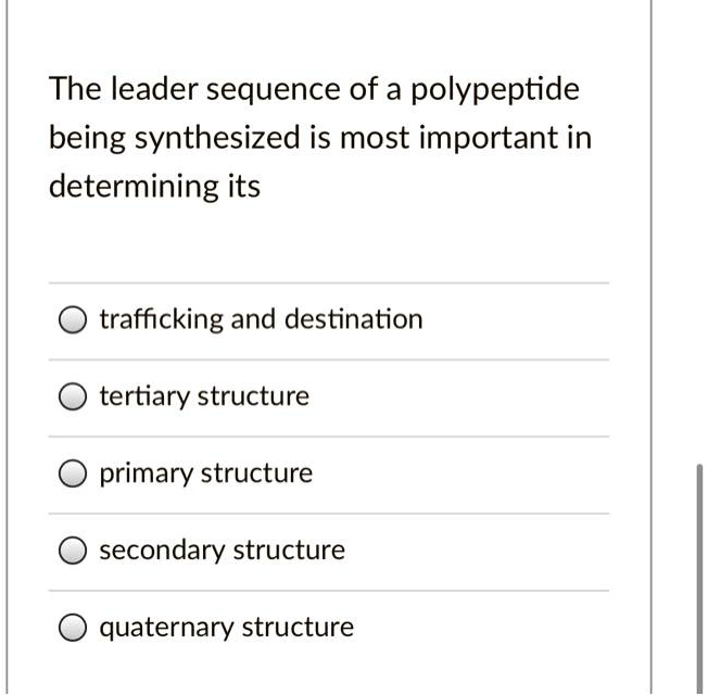 SOLVED: The leader sequence of a polypeptide being synthesized is most ...