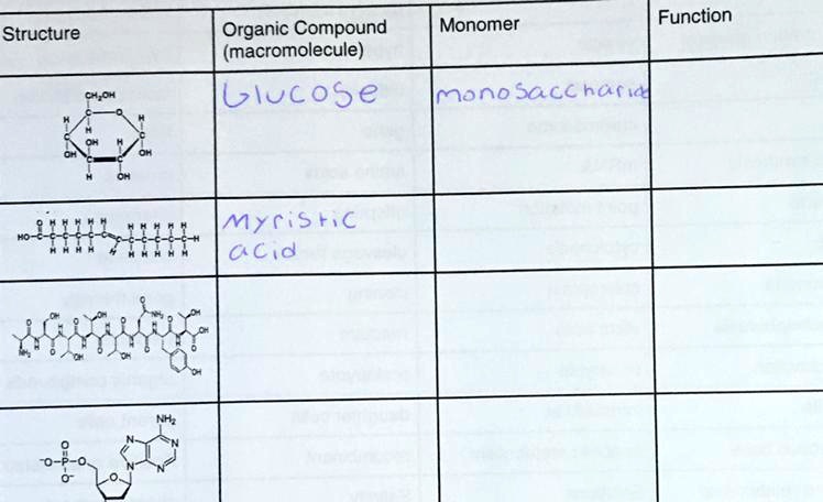 SOLVED: Identify each of the organic compounds based on their structure ...