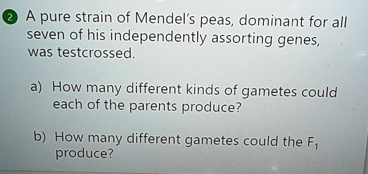 ? A pure strain of Mendel's peas, dominant for all seven of his ...
