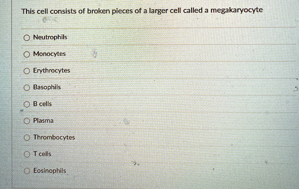 This cell consists of broken pieces of a larger cell called a ...