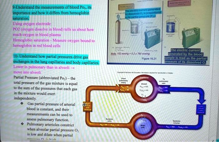 9-Understand the measurements of blood Po?, its importance and how it ...