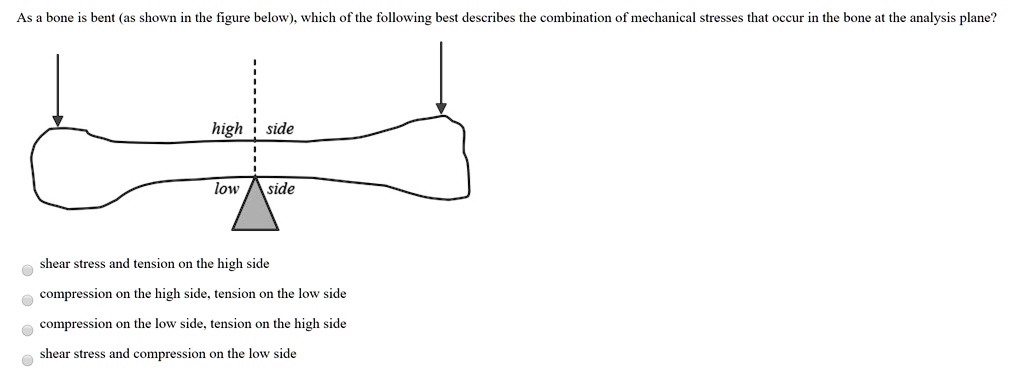bone is bent as shown in the figure below which ofthe following best ...