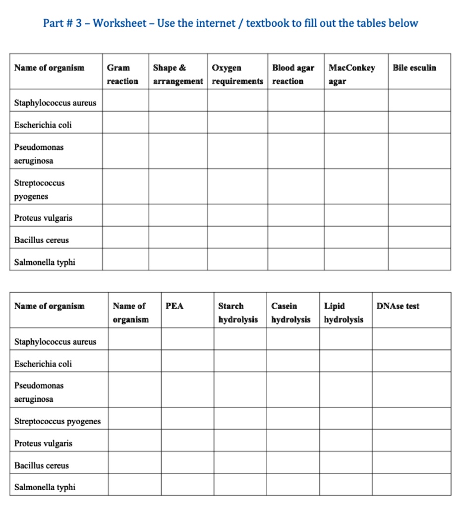 Part # 3 - Worksheet - Use the internet / textbook to fill out the ...