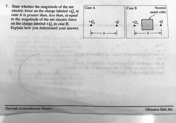 State Whether The Magnitude Of The Net Electric Force On The Charge