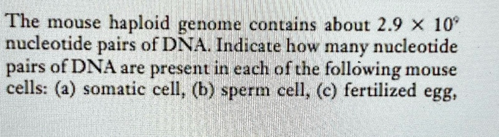 The mouse haploid genome contains about 2.9 x 10^9 nucleotide pairs of ...