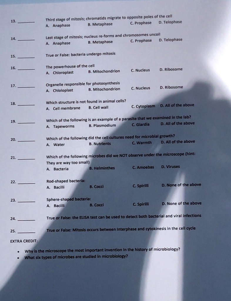 lab final test of mitosis chromatids migrate to opposite poles of the ...