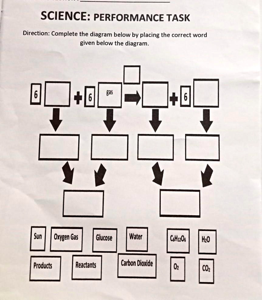 SCIENCE: PERFORMANCE TASK Direction: Complete the diagram below by ...