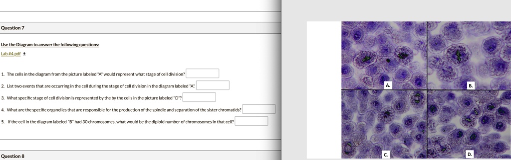 SOLVED: Use the Diagram to answer the following questions: Lab #4.pdf 1 ...