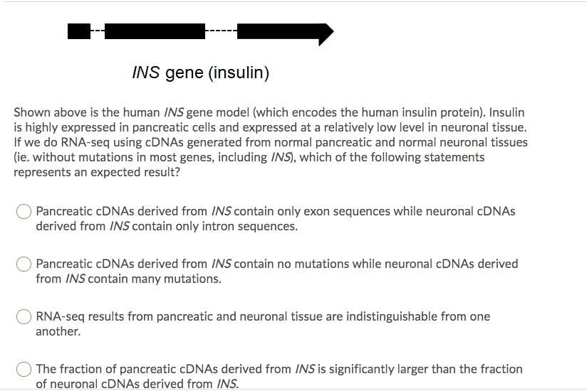 SOLVED: 'INS gene (insulin) Shown above is the human INS gene model ...