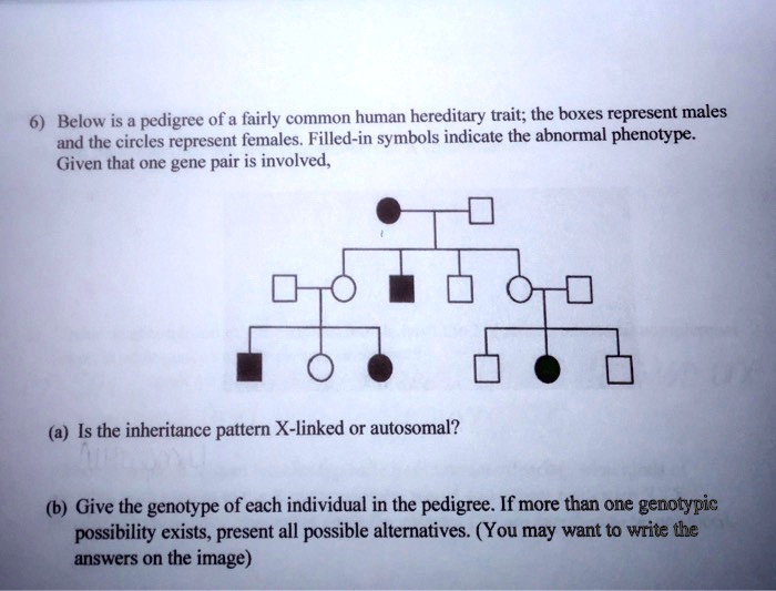 SOLVED: Below IS pedigree of a fairly common human hereditary trait; the boxes represent males ...