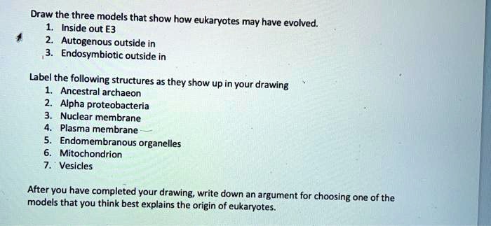 draw the three models that show how eukaryotes may have evolved inside ...