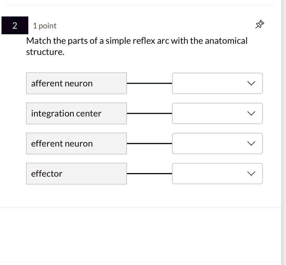 2 1 point Match the parts of a simple reflex arc with the anatomical ...