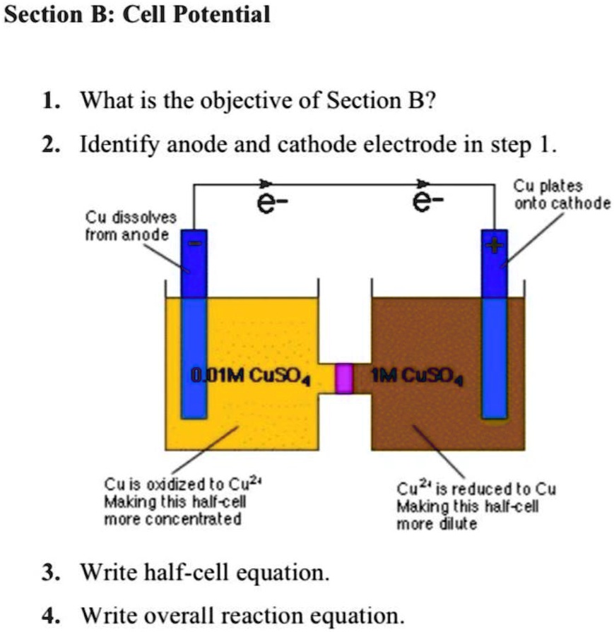 SOLVED: Section B: Cell Potential 1. What is the objective of Section B? 2. Identify anode and ...