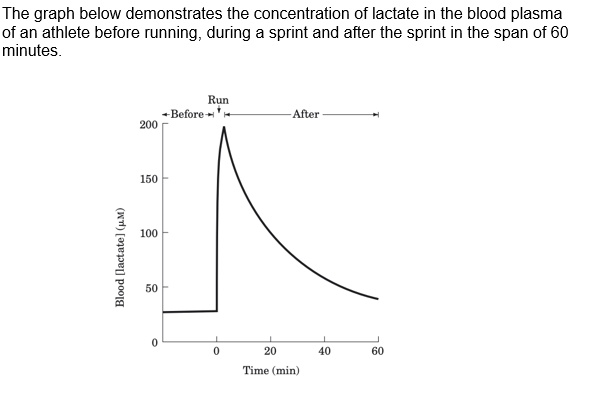 The graph below demonstrates the concentration of lactate in...