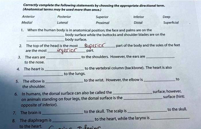 SOLVED: Correctly complete the following statements by choosing the ...
