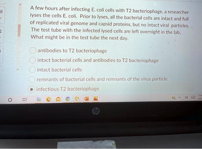 Solved A Few Hours After Infecting E Coli Cells With T2 Bacteriophage