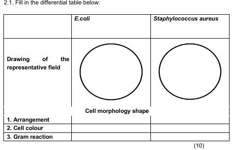fiilin the difierential table below ecoli staphylococcus jureus drawing ...