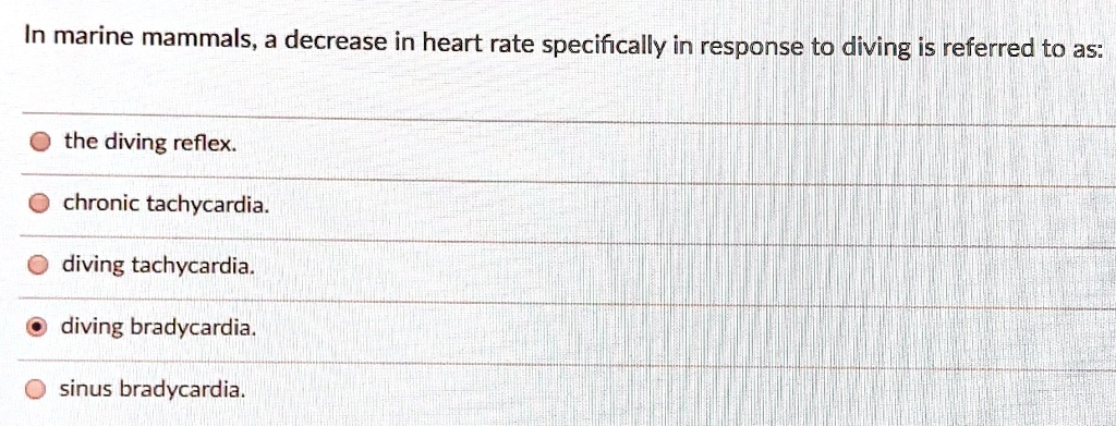 SOLVED: In marine mammals, a decrease in heart rate specifically in ...