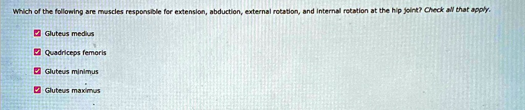 Which of the following are muscles responsible for extension, abduction ...