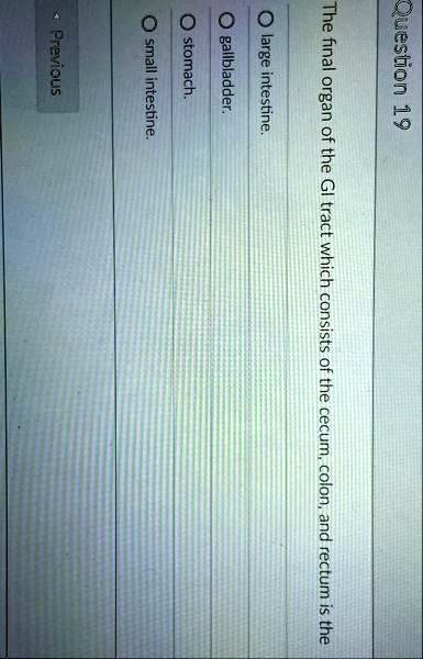 question 19 the final organ of the gi tract which consists of the cecum ...