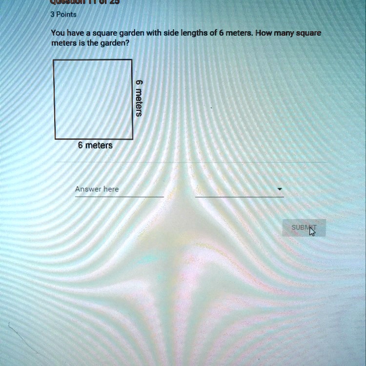 SOLVED: You have a square garden with side lengths of 6 meters. How ...