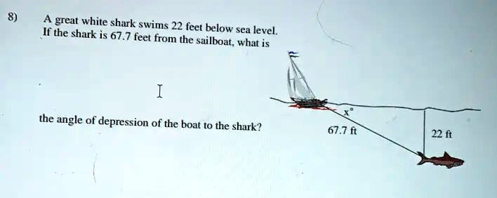 SOLVED: A great white shark swims 22 If the shark is 67.7 feet below ...