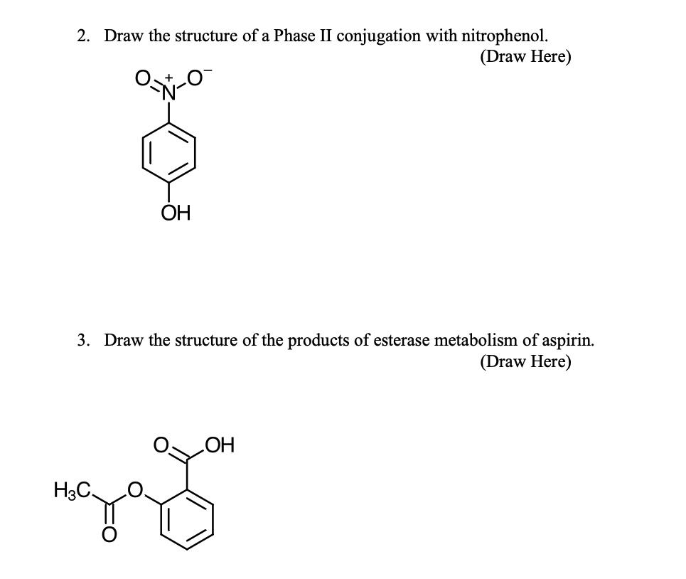 SOLVED: 2. Draw the structure of a Phase II conjugation with ...