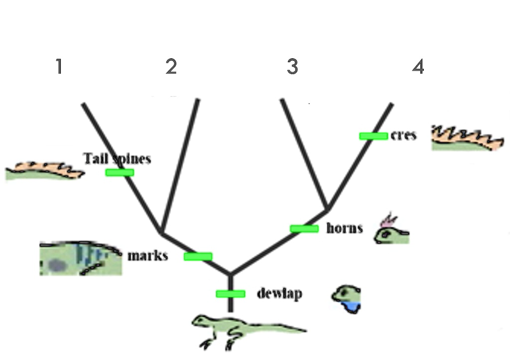 SOLVED: The tree below shows the hypothesized evolutionary relationship ...