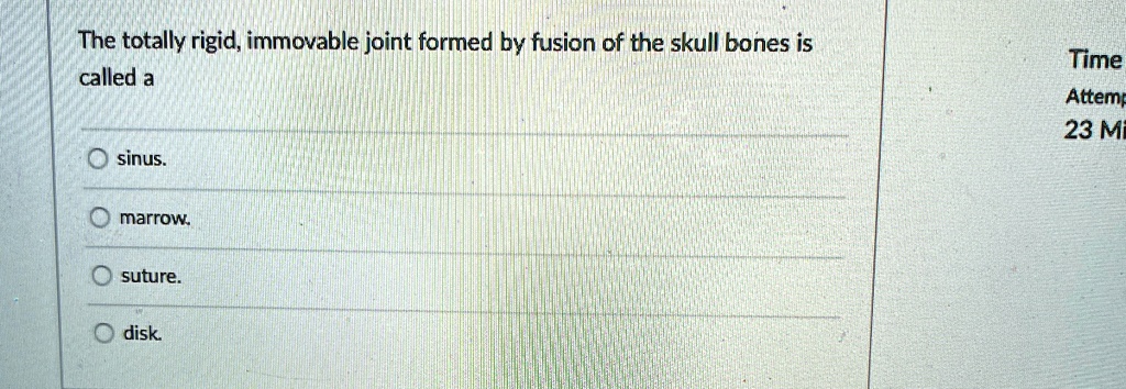 The totally rigid, immovable joint formed by fusion of the skull bones ...