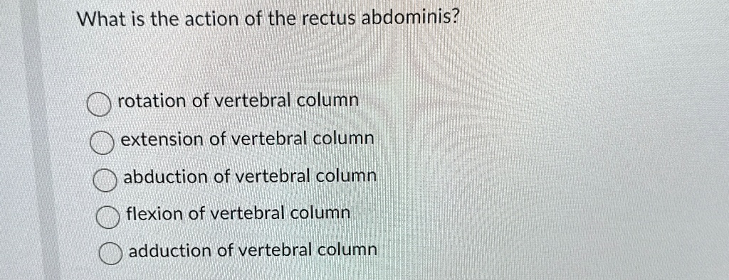 what is the action of the rectus abdominis rotation of vertebral column ...