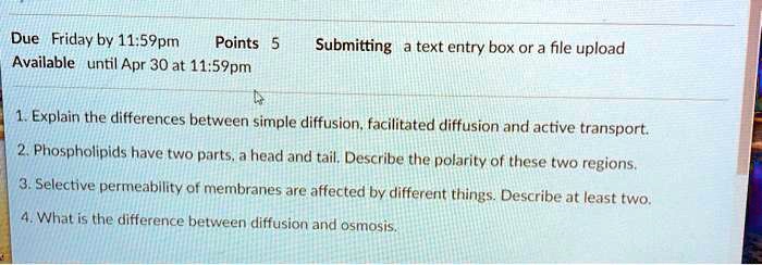 Solved Due Friday By 11 59pmn Points Available Until Apr 30 At 11 59pm