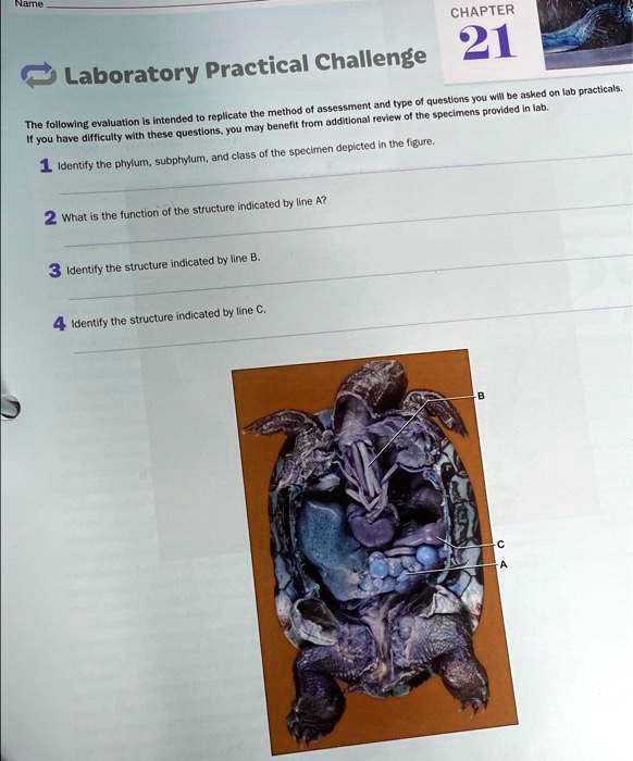 Name CHAPTER Laboratory Practical Challenge 21 The following evaluation is intended to replicate ...