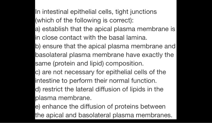 In intestinal epithelial cells, tight junctions (which of the following ...