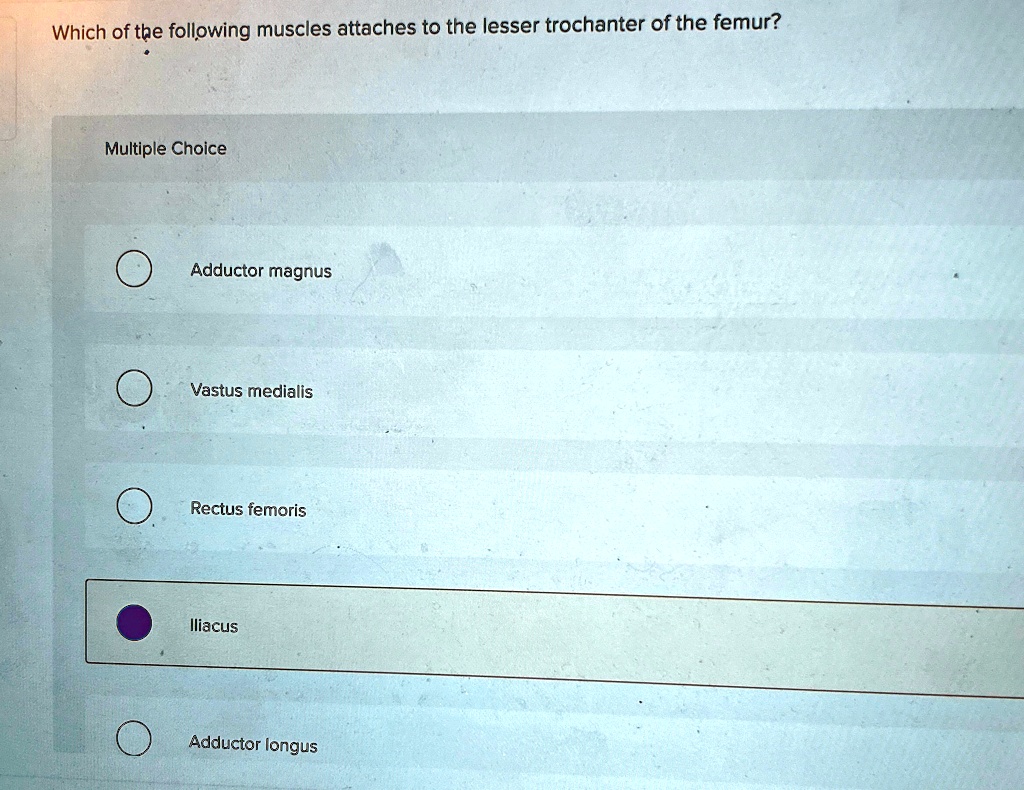 which of the following muscles attaches to the lesser trochanter of the ...