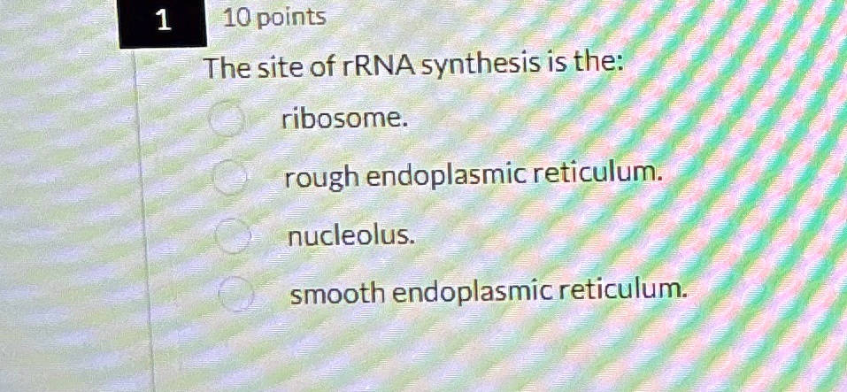 10 points the site of rrna synthesis is the ribosome rough endoplasmic ...