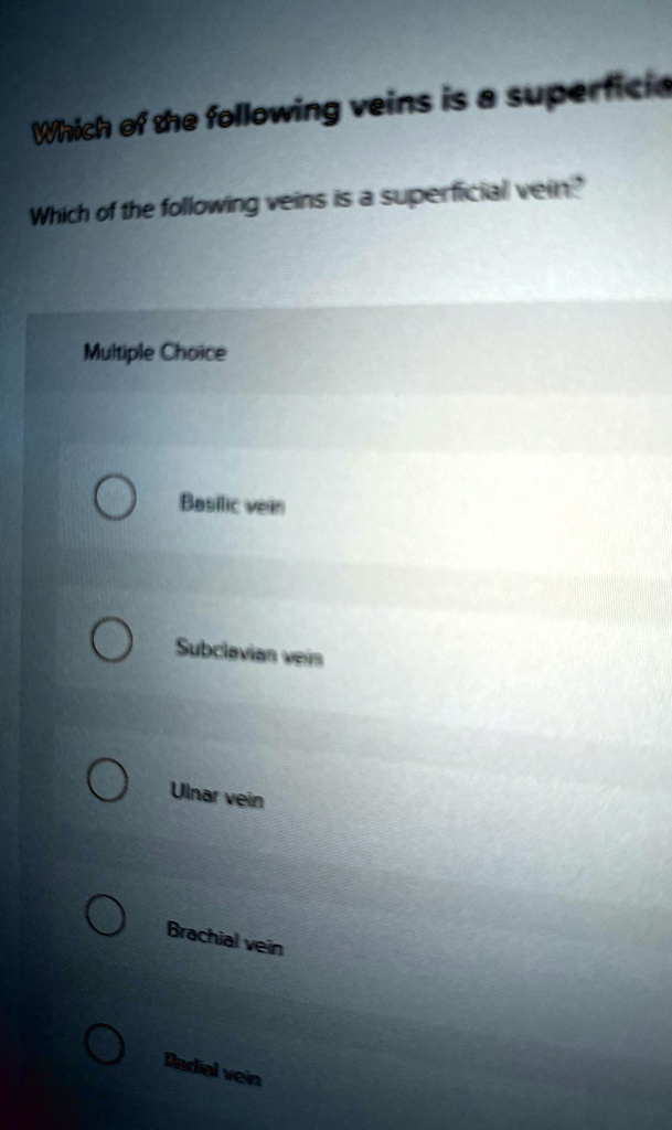 which of the following veins is a superficial vein multiple choice ...