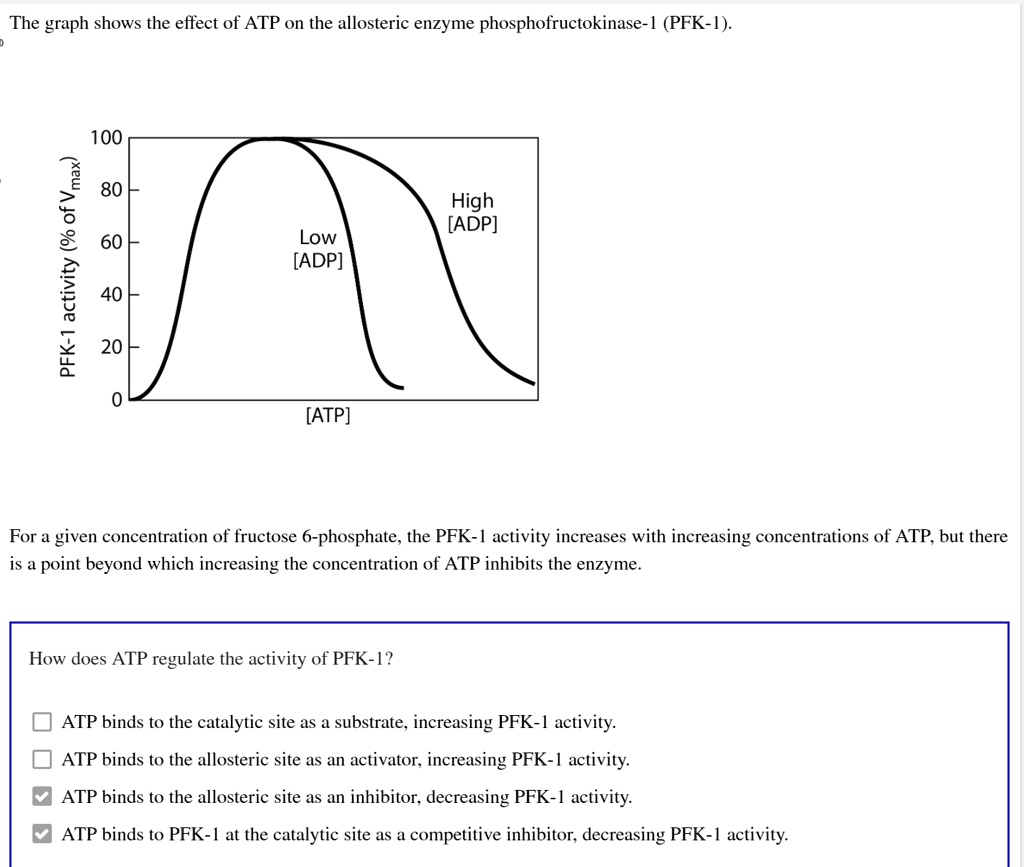 The graph shows the effect of ATP on the allosteric enzyme ...