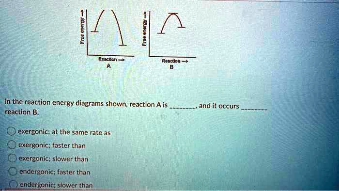 SOLVED: In the reaction energy diagrams shown, reaction A is reaction B ...