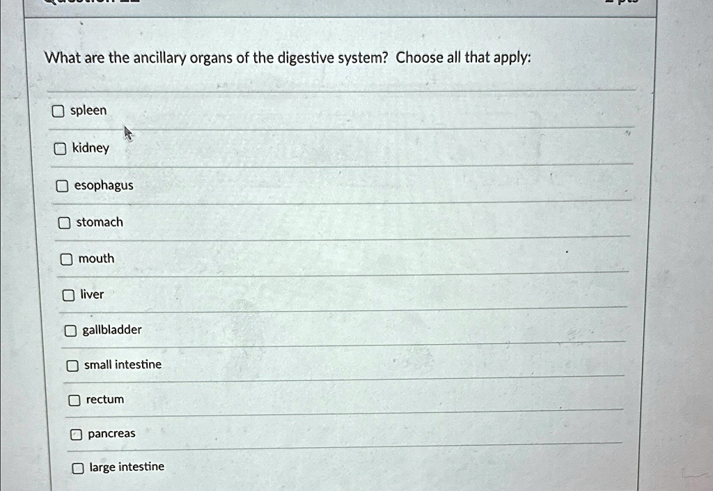 What are the ancillary organs of the digestive system? Choose all that ...