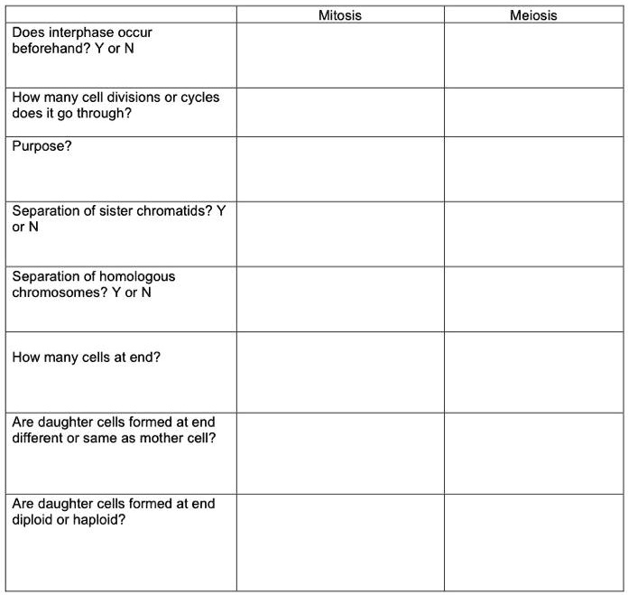 SOLVED: Compare and contrast mitosis to meiosis by filling in the table ...