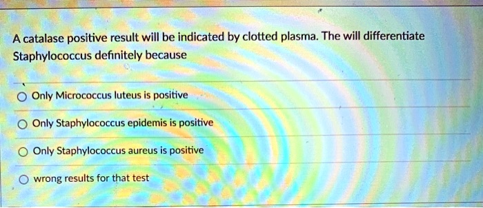 SOLVED: A catalase positive result will be indicated by clotted plasma ...
