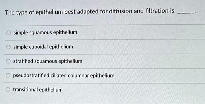 SOLVED: The type of epithelium best adapted for diffusion and ...