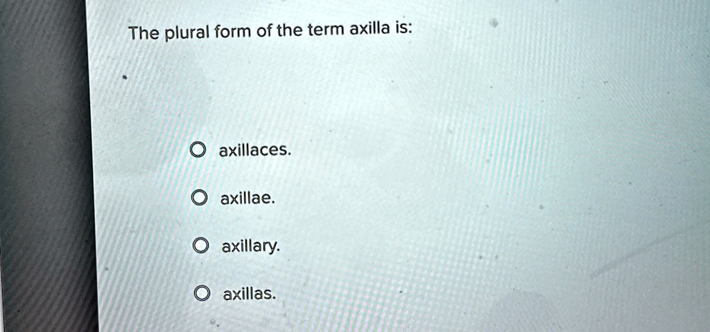the plural form of the term axilla is axillaces axillae axillary ...