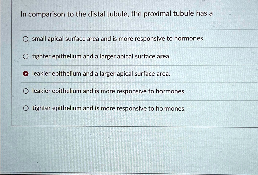 in comparison to the distal tubule the proximal tubule has a small ...