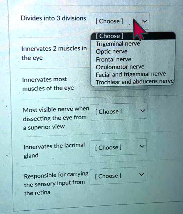 SOLVED: help Divides into 3 divisions [Choose] [Choose Trigeminal nerve ...