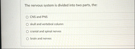 the nervous system is divided into two parts the o cns and pns o skull ...